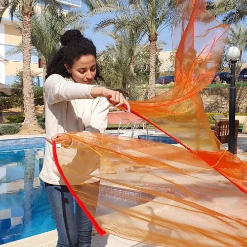 Stream Meada Wagih music | Listen to songs, albums, playlists for free ...