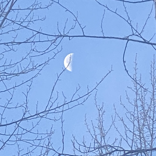 Stream Joseph Bergman music | Listen to songs, albums, playlists for ...