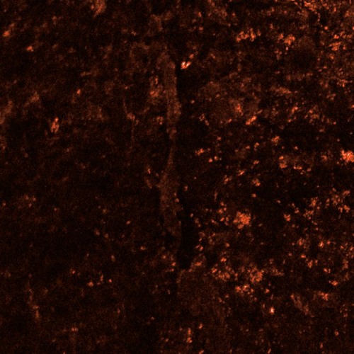 Stream RVST music | Listen to songs, albums, playlists for free on ...