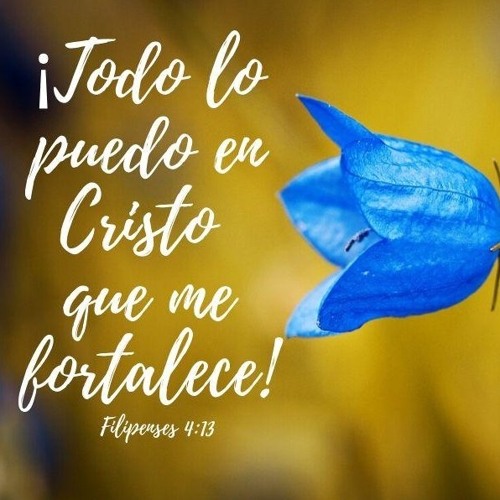 Stream Arleen music | Listen to songs, albums, playlists for free on ...