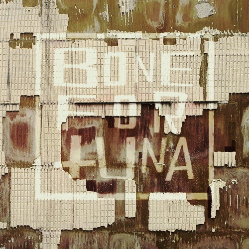 Stream BFT (BONE FOR TUNA) music | Listen to songs, albums, playlists ...