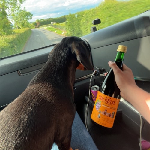 Stream Michael Brazier music | Listen to songs, albums, playlists for ...