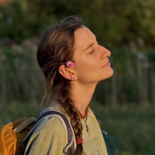 Stream Magic Giraffe music | Listen to songs, albums, playlists for ...