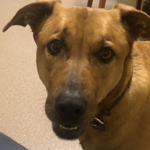 Stream Bjam music | Listen to songs, albums, playlists for free on ...