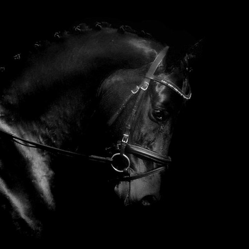 Stream Black Ket music | Listen to songs, albums, playlists for free on ...