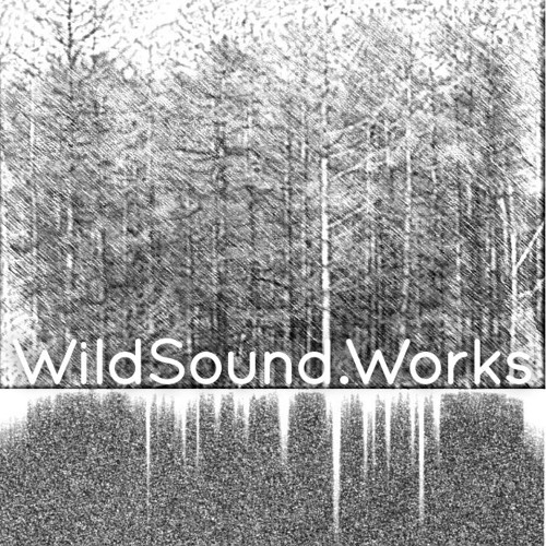 Stream WildSound.Works music | Listen to songs, albums, playlists for ...