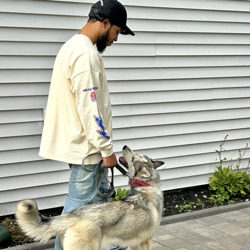 Stream J.Bizzy music | Listen to songs, albums, playlists for free on ...