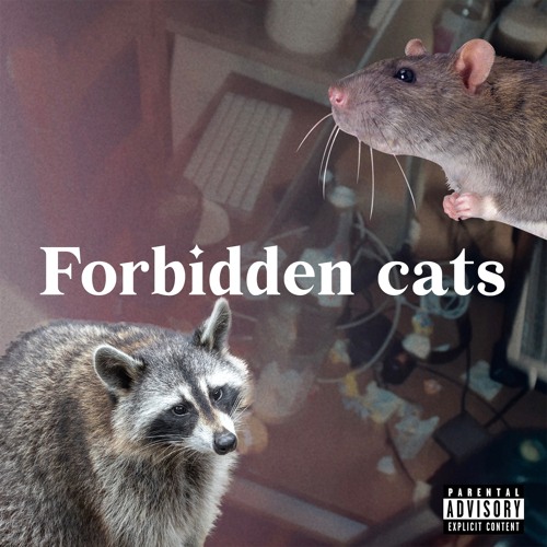 Stream Forbidden Cat music | Listen to songs, albums, playlists for ...