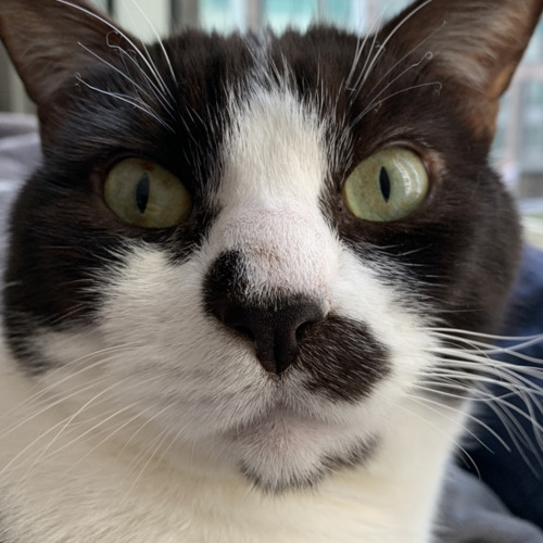 Stream Andrew Millman music | Listen to songs, albums, playlists for ...