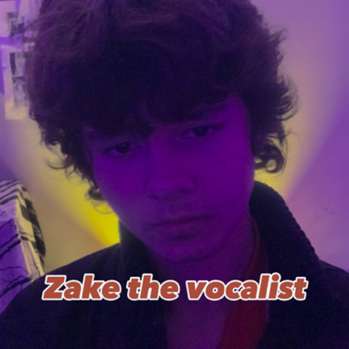Stream zake the vocalist music | Listen to songs, albums, playlists for ...