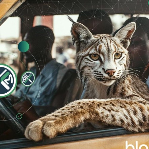 Stream bloXcast | Listen to podcast episodes online for free on SoundCloud