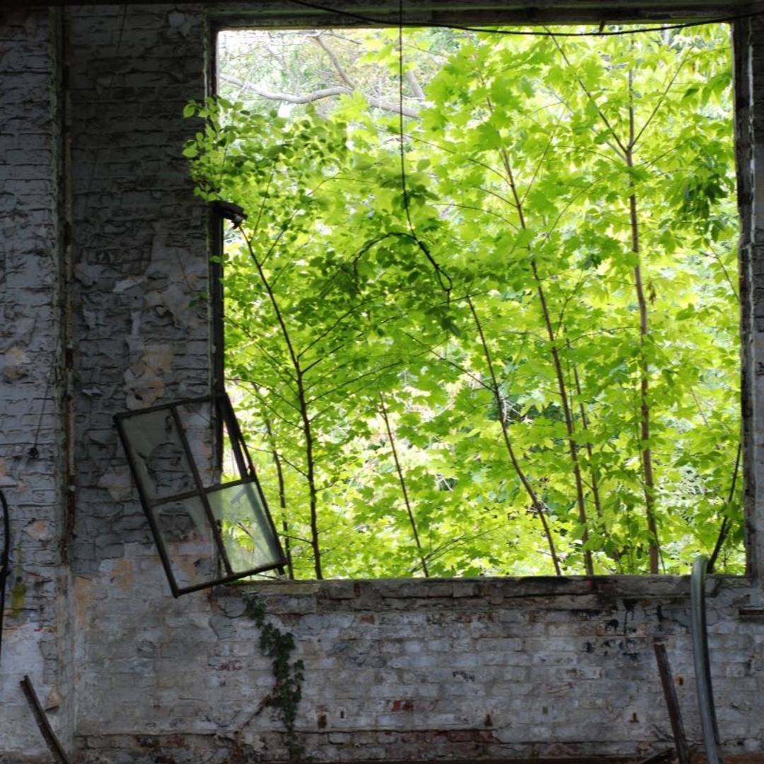 Stream koij music | Listen to songs, albums, playlists for free on ...