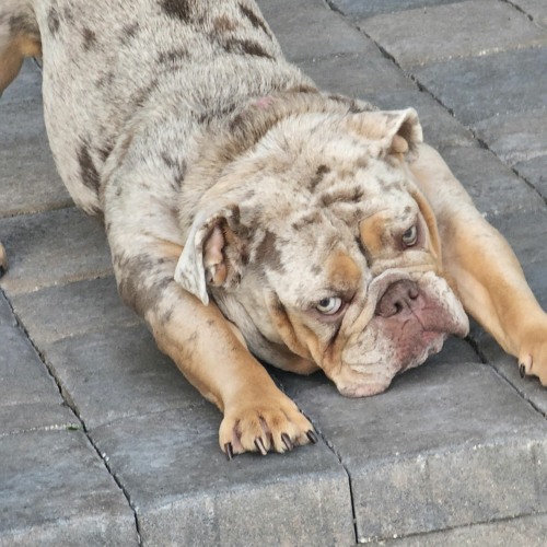 Stream Matt Troy Jones music | Listen to songs, albums, playlists for ...