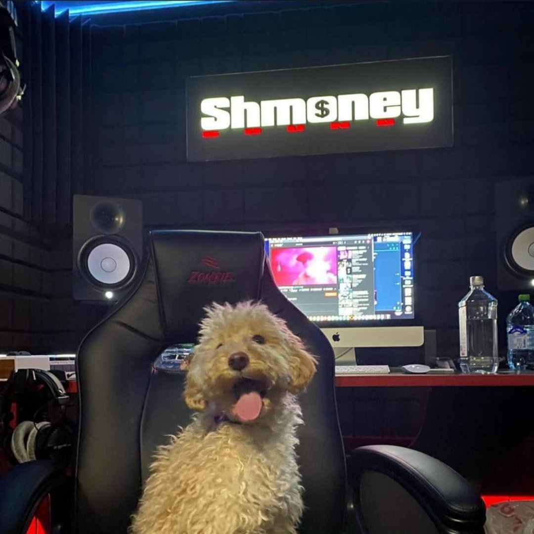 Stream SHMONEY DAILY music | Listen to songs, albums, playlists for ...