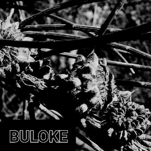 Stream Buloke music | Listen to songs, albums, playlists for free on ...