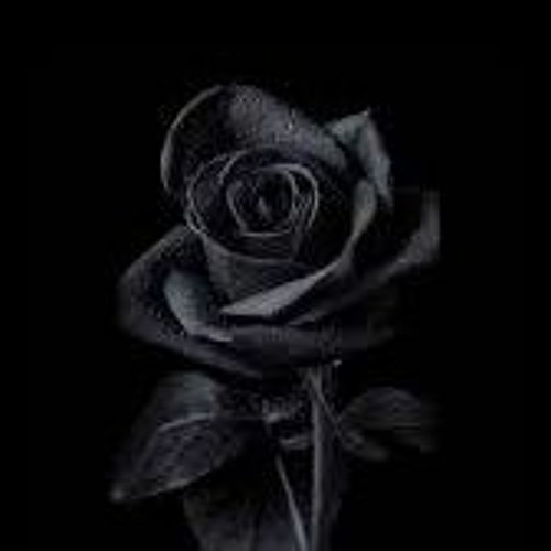 Stream Jay/Jani/Cameron/Jason music | Listen to songs, albums ...