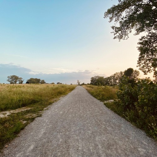 Stream Mike V!!! music | Listen to songs, albums, playlists for free on ...