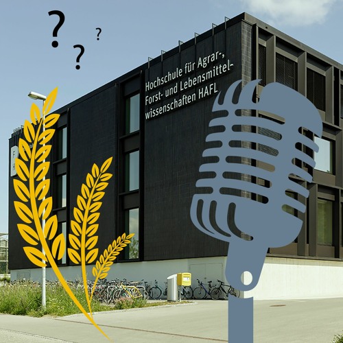 Stream BFH-HAFL-FSM | Listen to podcast episodes online for free on ...