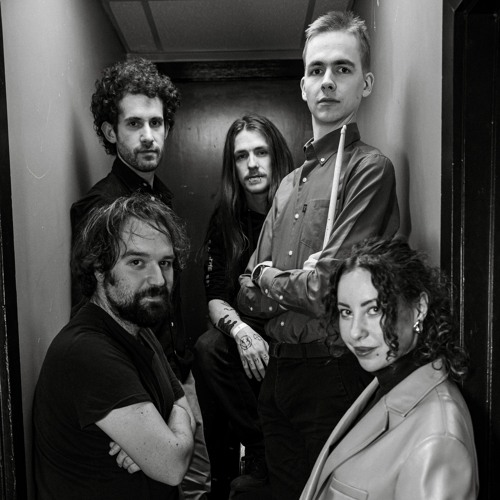 Stream Mountains of Empathy music | Listen to songs, albums, playlists ...