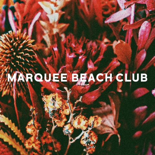 Stream MARQUEE BEACH CLUB music | Listen to songs, albums, playlists ...