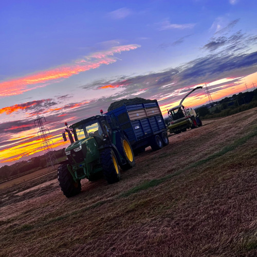 Stream Dylan Hamill music | Listen to songs, albums, playlists for free ...