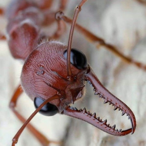 Stream Brooke Sadler music | Listen to songs, albums, playlists for ...