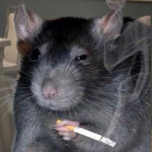 Stream Leo Capaldi music | Listen to songs, albums, playlists for free ...