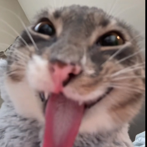 Stream AXXTUREL - HEX MY BITCH (Prod. By SpaceGhostPurrp) by Augstas ...