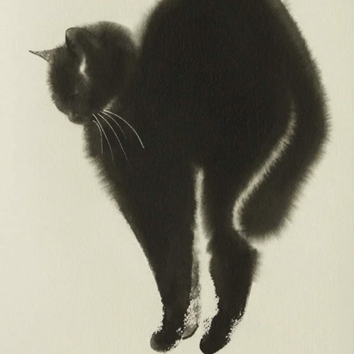 Stream 2C music | Listen to songs, albums, playlists for free on SoundCloud