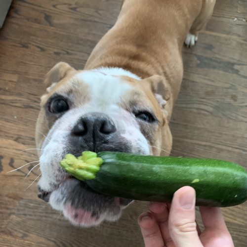 Stream Library Blockate Ost By Thegrantster101 Listen Online For