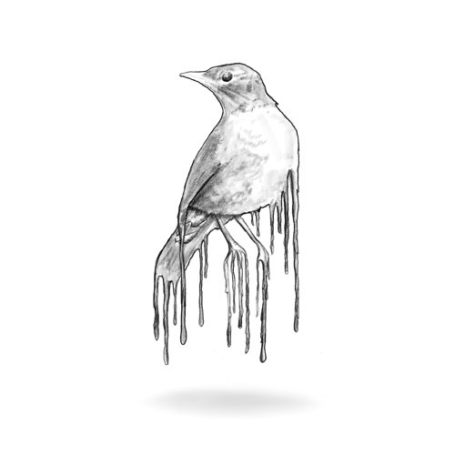 Stream Wax Robin music | Listen to songs, albums, playlists for free on ...