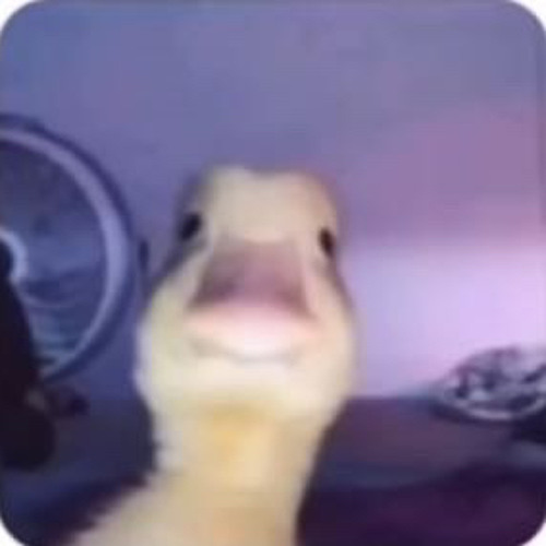 Stream sepnu pues music | Listen to songs, albums, playlists for free ...