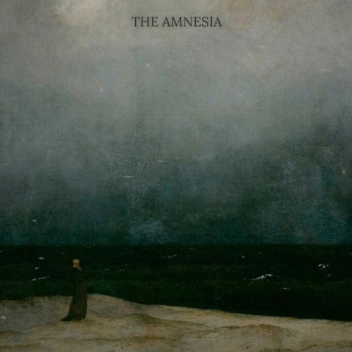Stream THE AMNESIA music | Listen to songs, albums, playlists for free ...