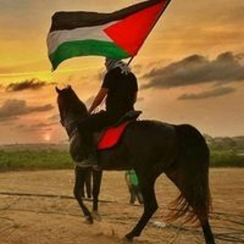 Stream Marwa Abdel-hamid music | Listen to songs, albums, playlists for ...