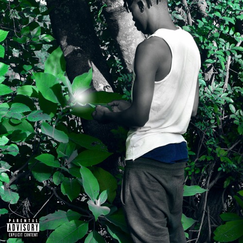 Stream ALLIN DUCK music | Listen to songs, albums, playlists for free ...