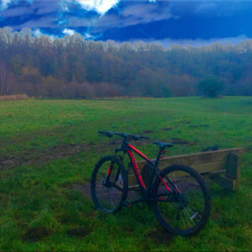 Stream Ross Hegarty music | Listen to songs, albums, playlists for free ...