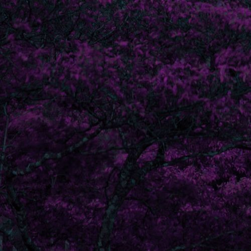 Stream Leandro Caceres music | Listen to songs, albums, playlists for ...