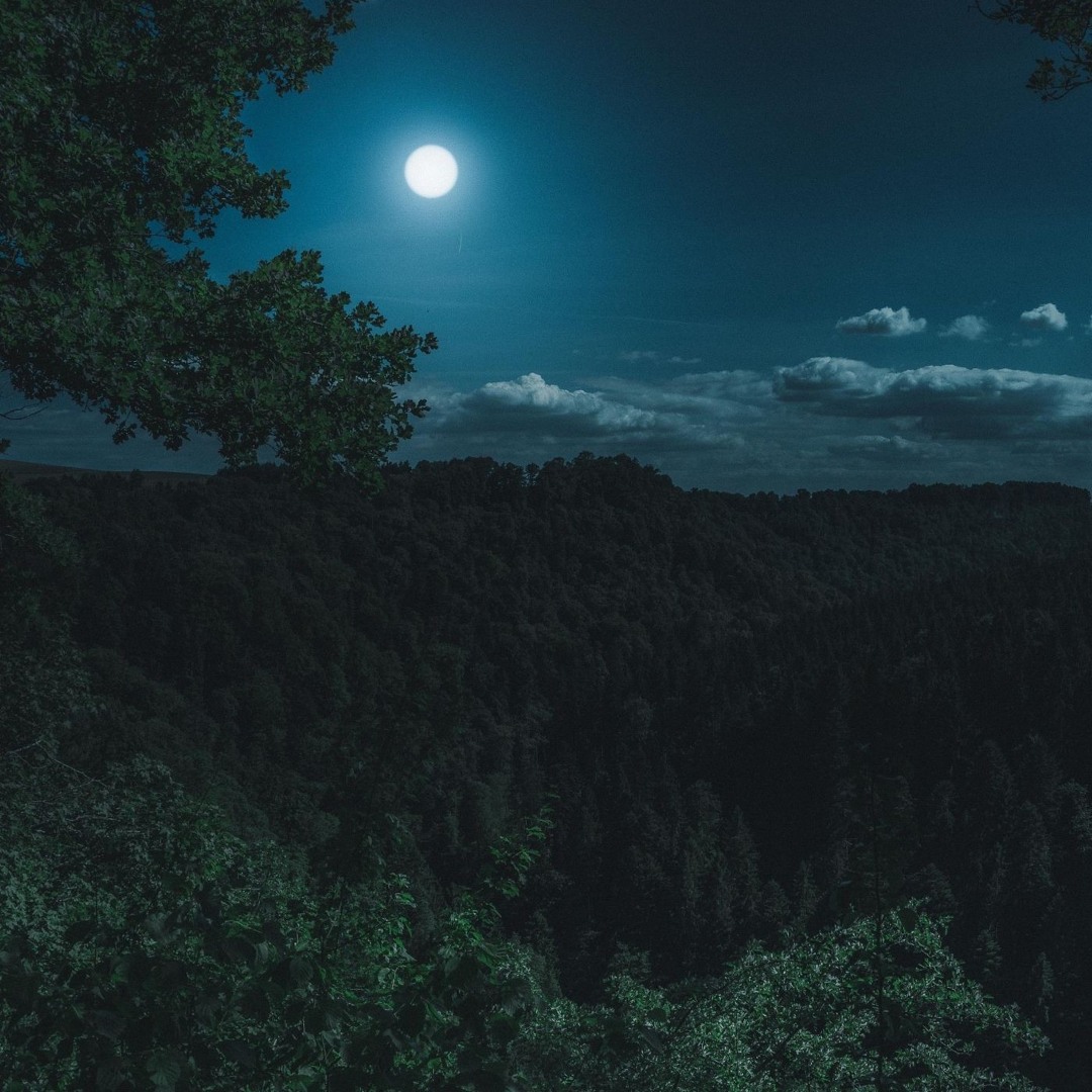 Stream The Sea Forever For Us by Chuck Doughtie | Listen online for ...