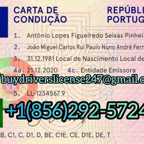 Stream PORTUGAL LICENSE music | Listen to songs, albums, playlists for ...