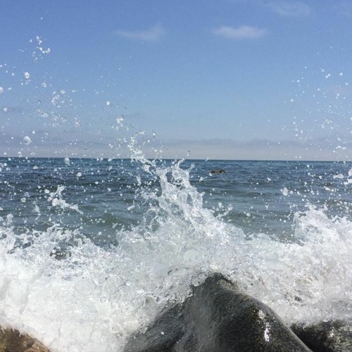 Stream Héctor DeAnda U3 A3 Alteraciones Inmunlógicas by Hector David ...