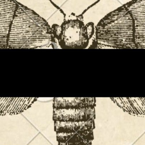 Stream Kyny music | Listen to songs, albums, playlists for free on ...