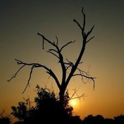 Stream Irum Azmat music | Listen to songs, albums, playlists for free ...