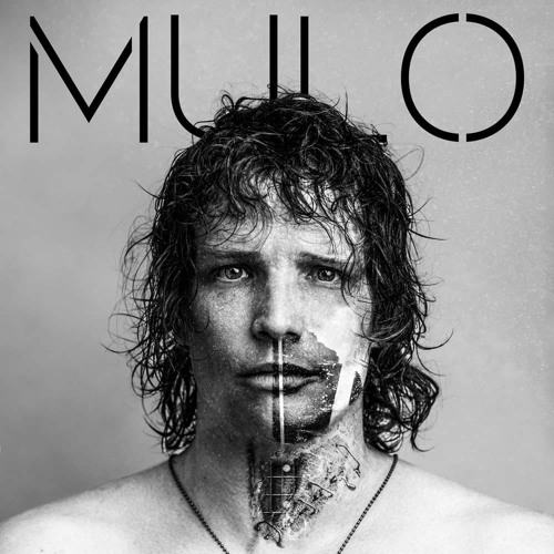 Stream MuLo - Donkey Bong (prod. by JK Soul) by MuLo | Listen online ...