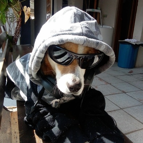 Stream Team Fortress 2 Main Theme (Team Fortress 2 OST #01) || Metal ...