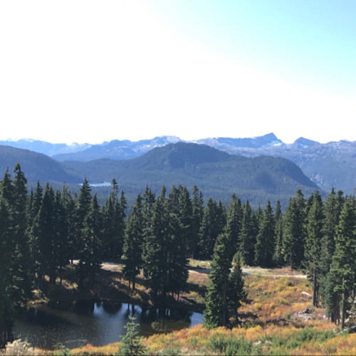 Stream Connie Crouch 1 music | Listen to songs, albums, playlists for ...