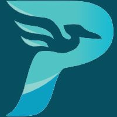 Stream Pelican music | Listen to songs, albums, playlists for free on ...