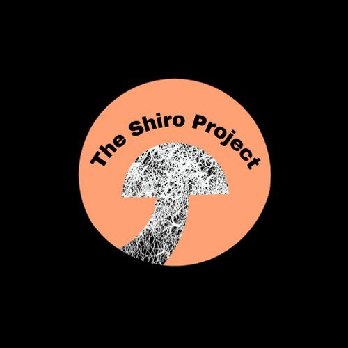 Stream Pilar by Shiro Project: Exhibition | Listen online for free on ...