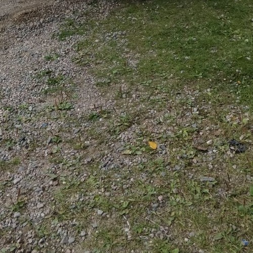 Stream The deceased are obliged to erect :) (Terrorizer-Dead Shall Rise ...