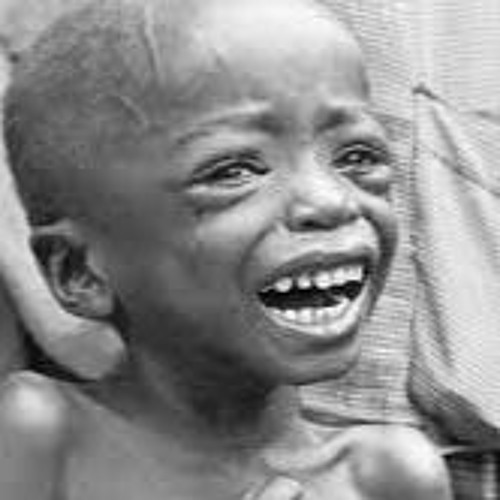 Stream Niga hater music | Listen to songs, albums, playlists for free ...