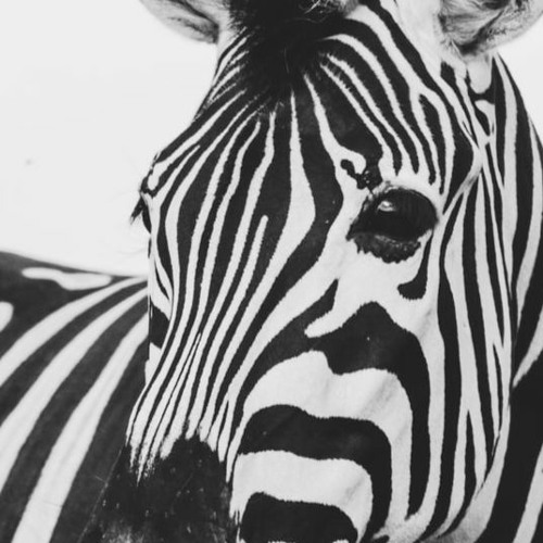 Stream sonic bonus stage by D S0T0 | Listen online for free on SoundCloud